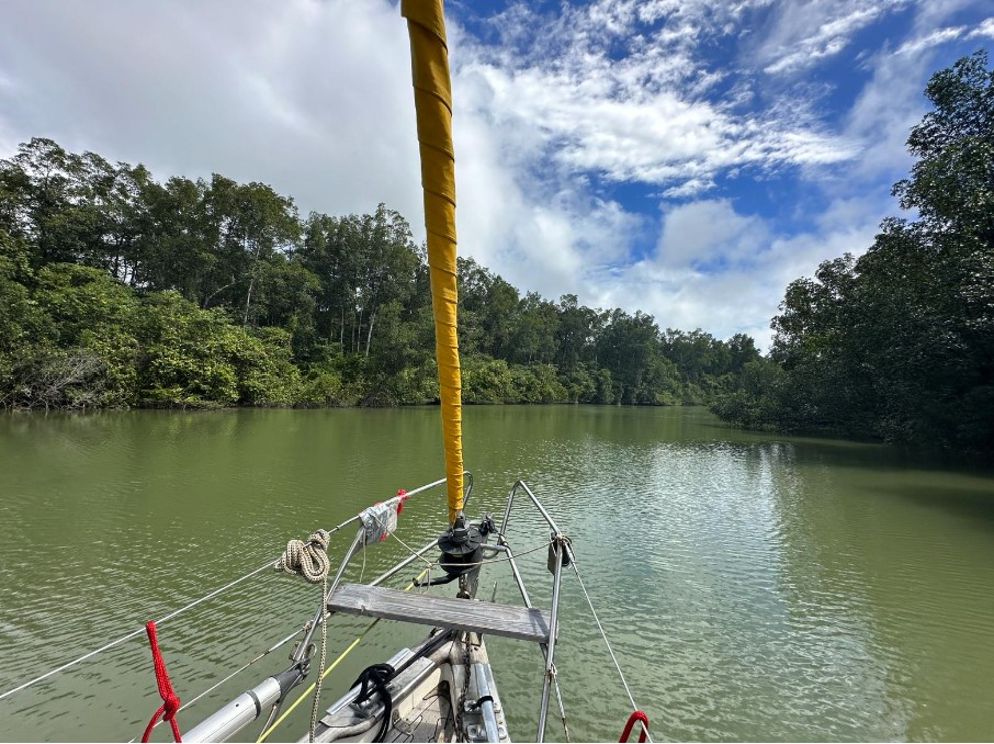 Französisch-Guyana: Maroni-River – Seebärlis